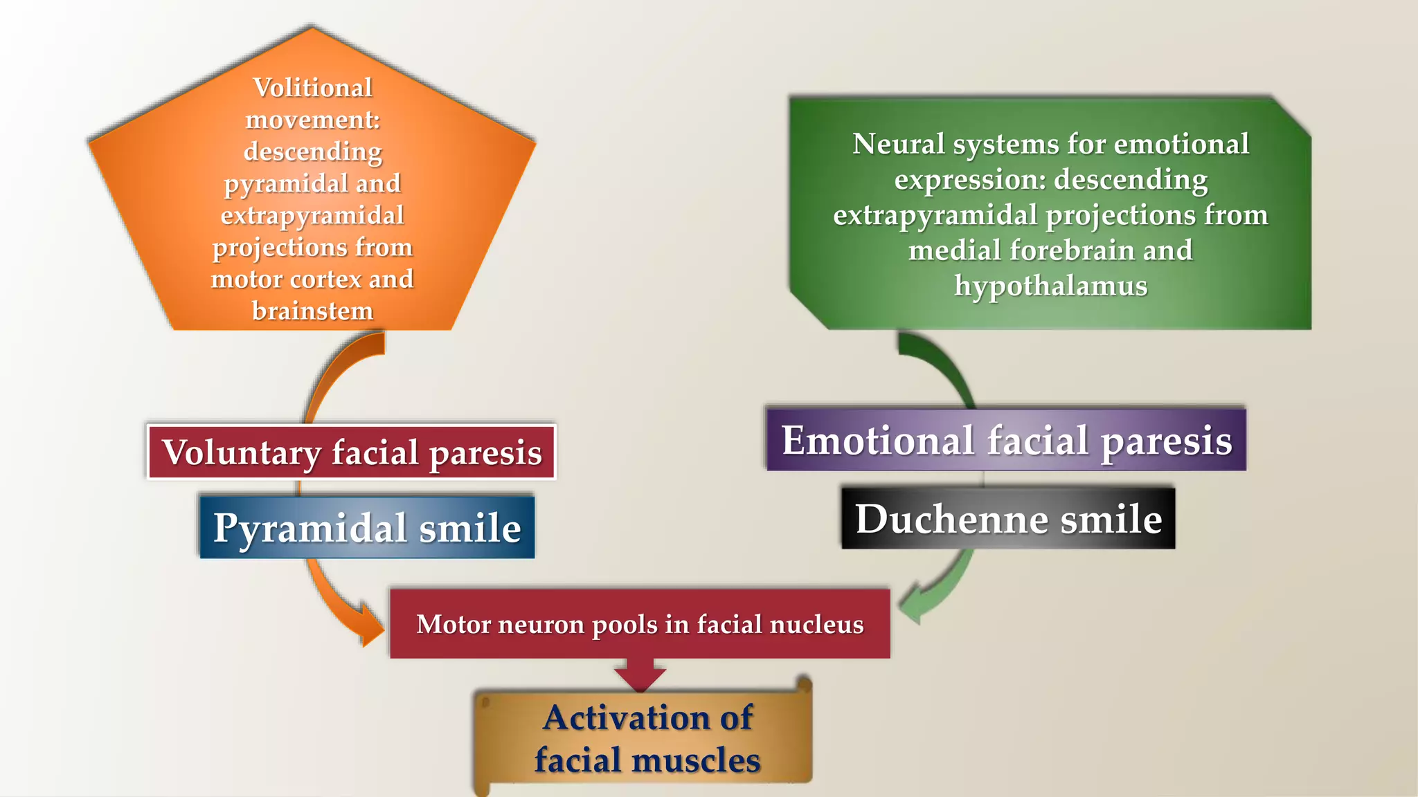 Control of facial expressions | PPSX