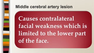Control of facial expressions | PPSX