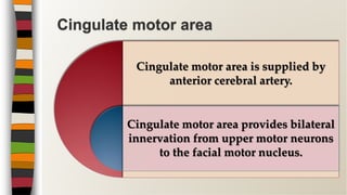 Control of facial expressions | PPSX