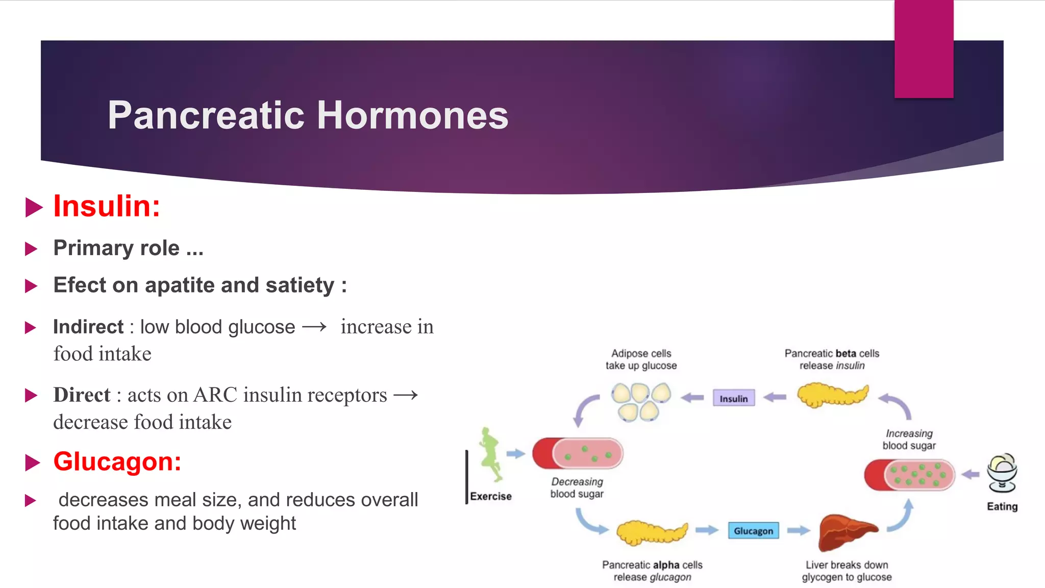 Control of food intake and appetite | PDF