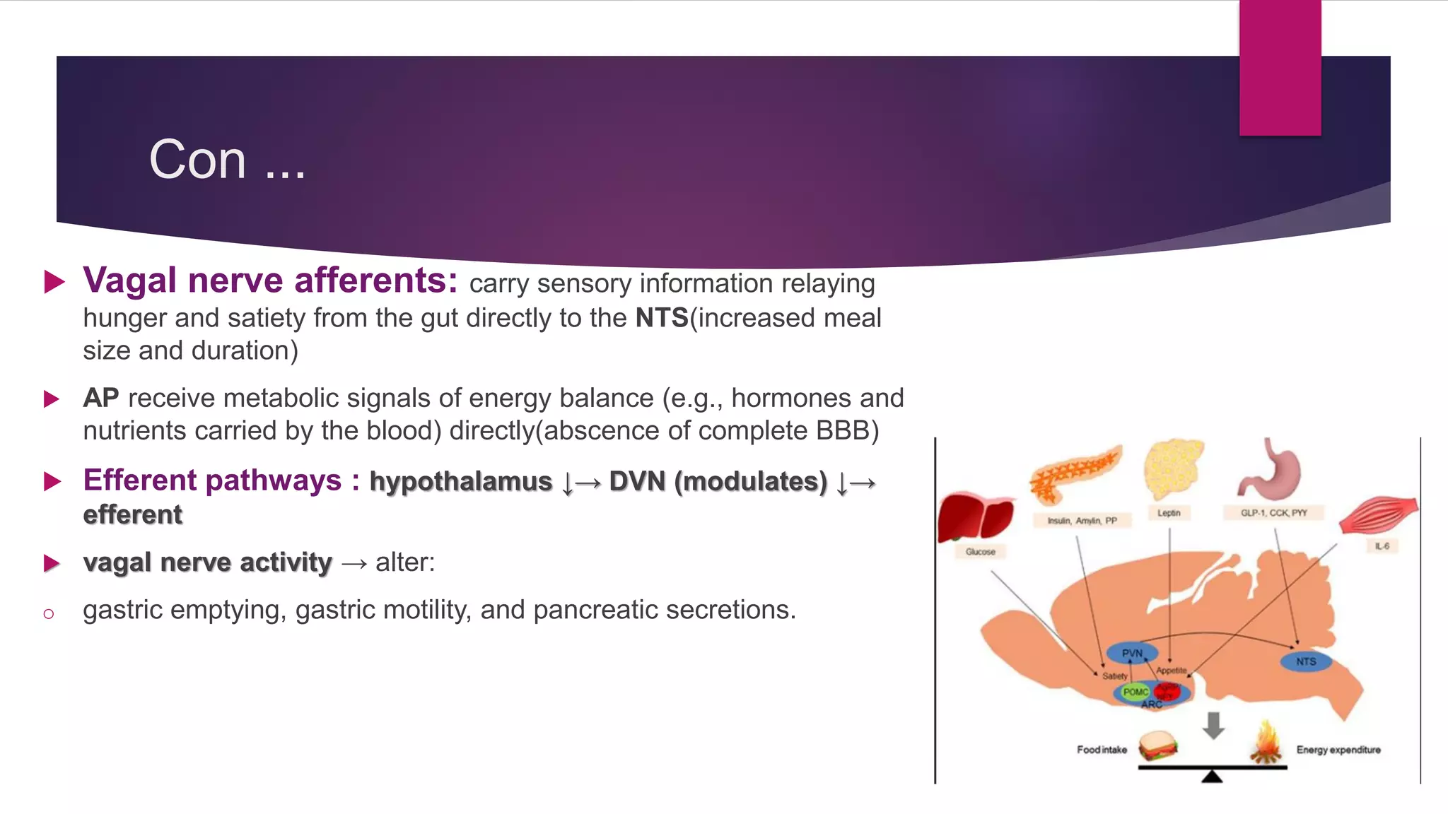Control of food intake and appetite | PDF