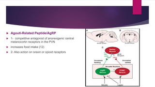 Control of food intake and appetite | PDF