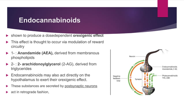 Control of food intake and appetite | PDF | Endocrine and Metabolic ...