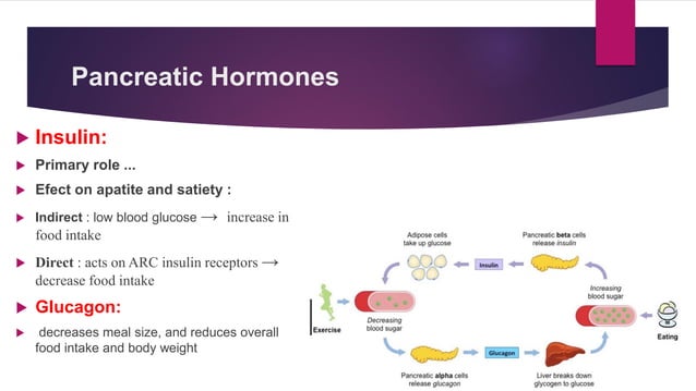 Control of food intake and appetite | PDF | Endocrine and Metabolic ...