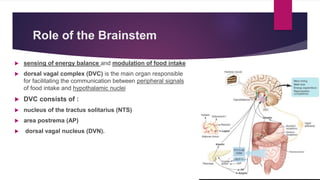 Control of food intake and appetite | PDF