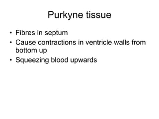 Control Of Heart Beat | PPT