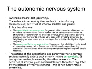 Control of heart rate - A2 AQA Biology | PPTX