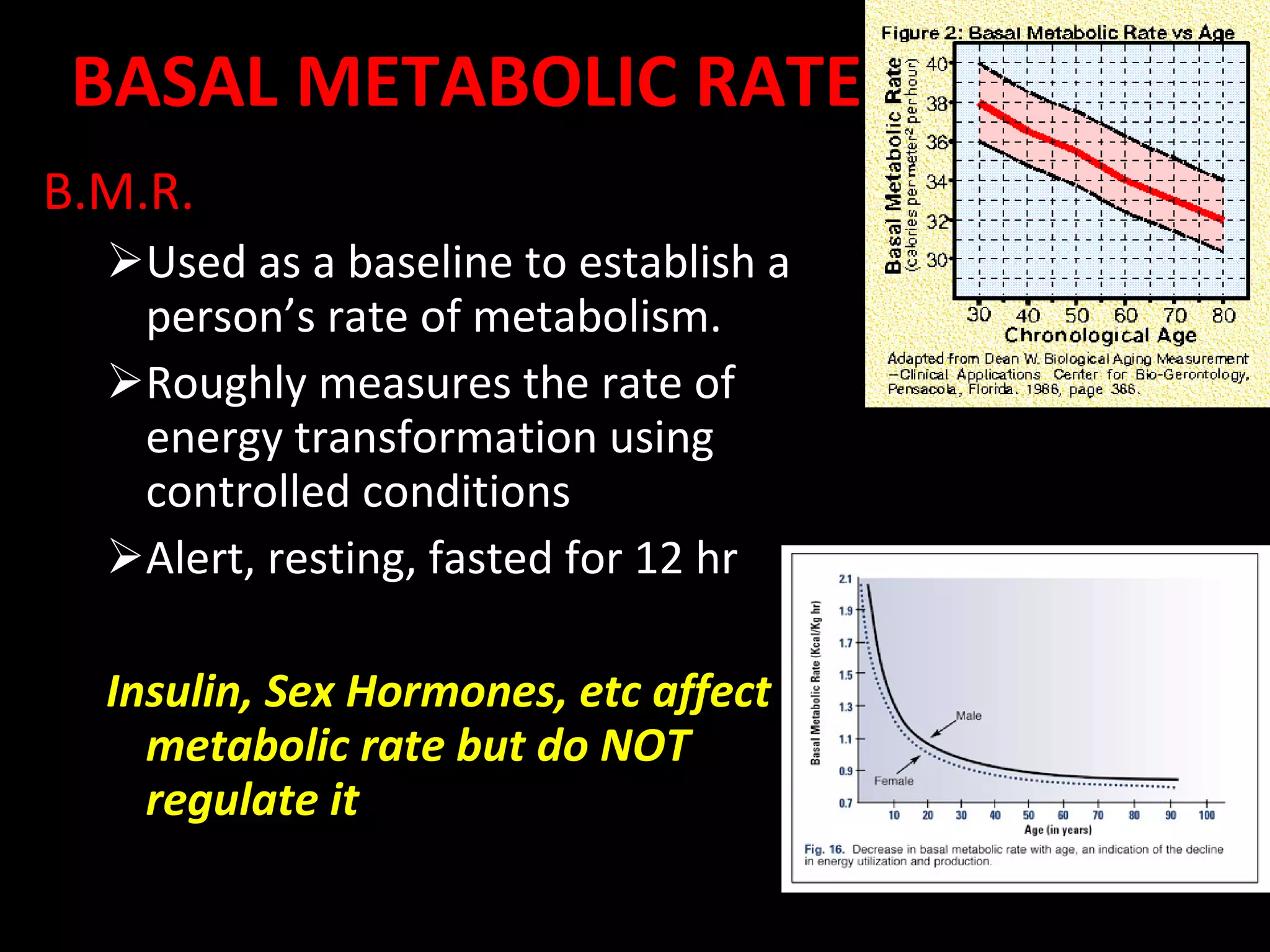 Control of Metabolism | PPT