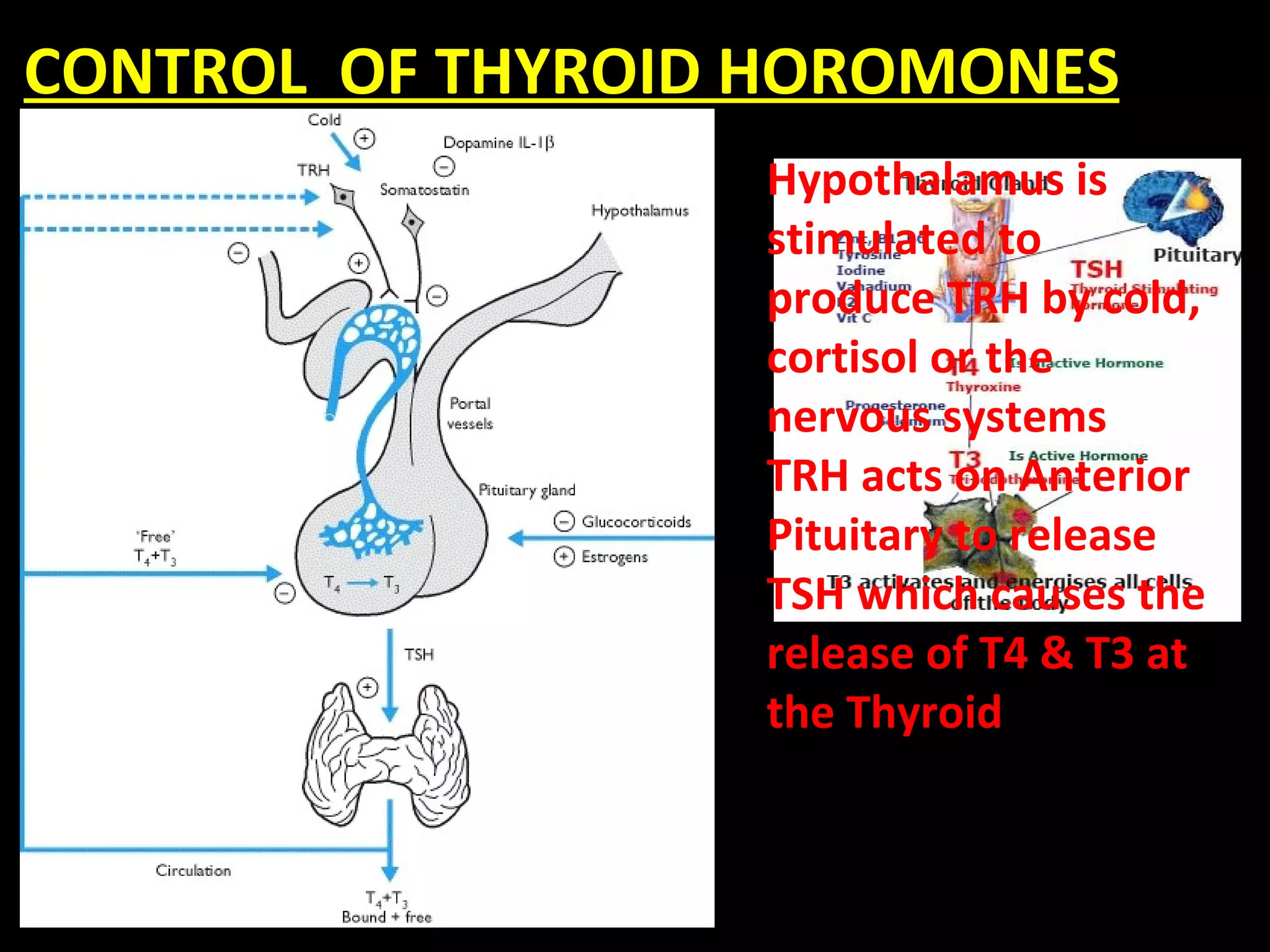 Control of Metabolism | PPT