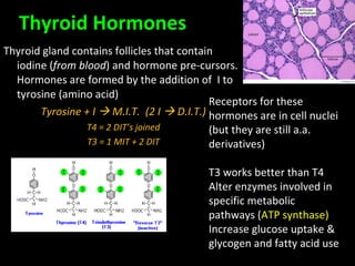 Control of Metabolism | PPT | Thyroid Disorders | Endocrine and ...
