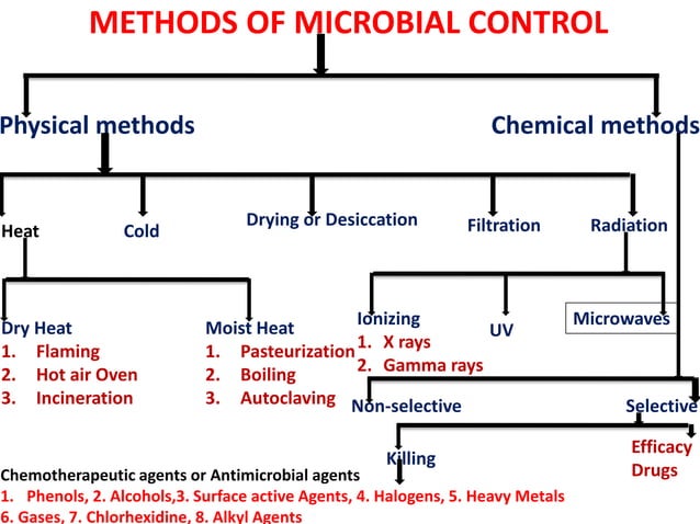 Control of microbes | PPT | Chemistry | Science