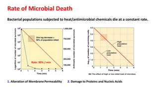 Control of Microbial Growth | PPTX