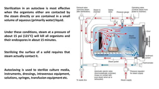 Control of Microbial Growth | PPTX