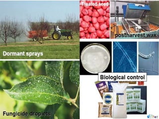 Control of plant diseases | PPTX