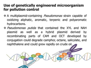 Control of pollution by genetically engineered microorganisms | PPTX ...