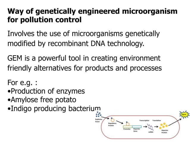Control of pollution by genetically engineered microorganisms | PPT