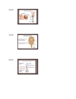Control of posture and movements 2 | DOCX