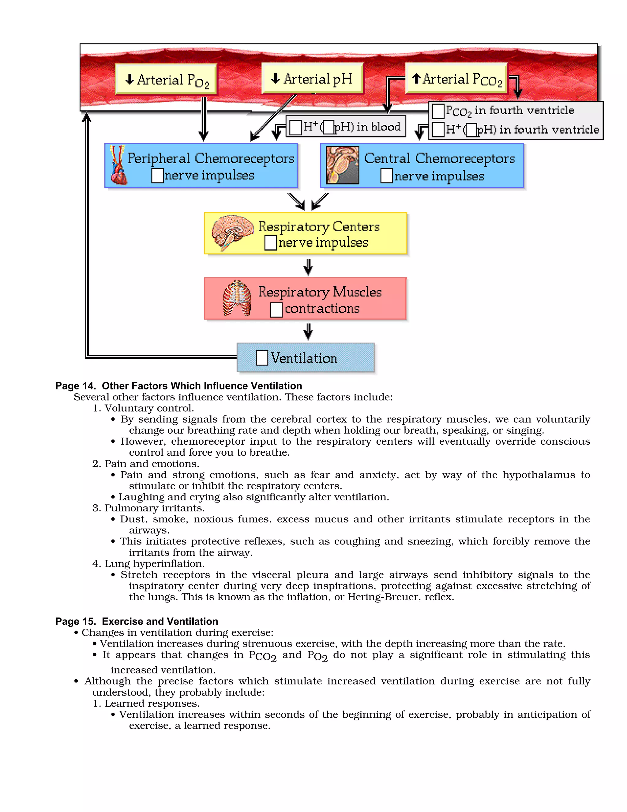 Control of respiration | PDF
