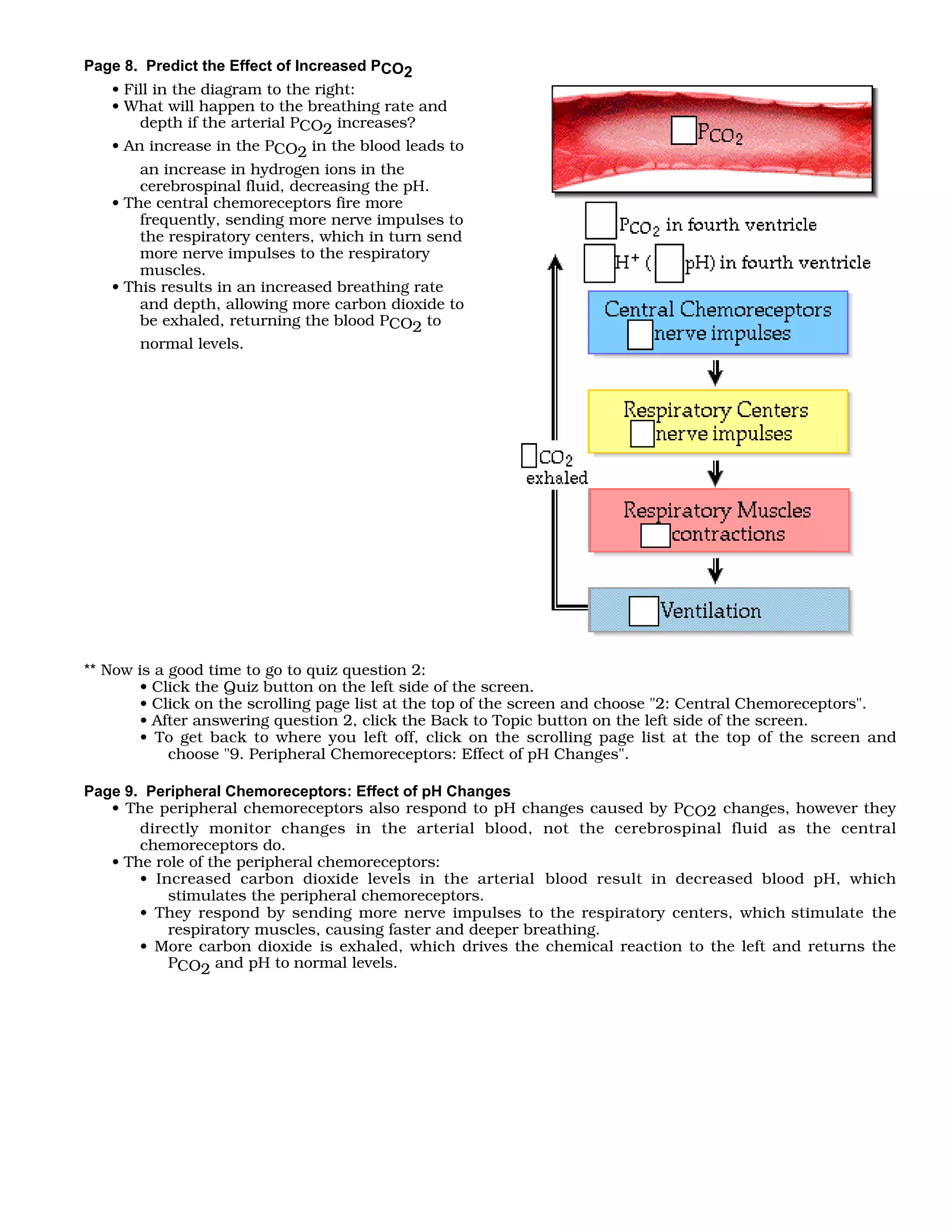 Control of respiration | PDF