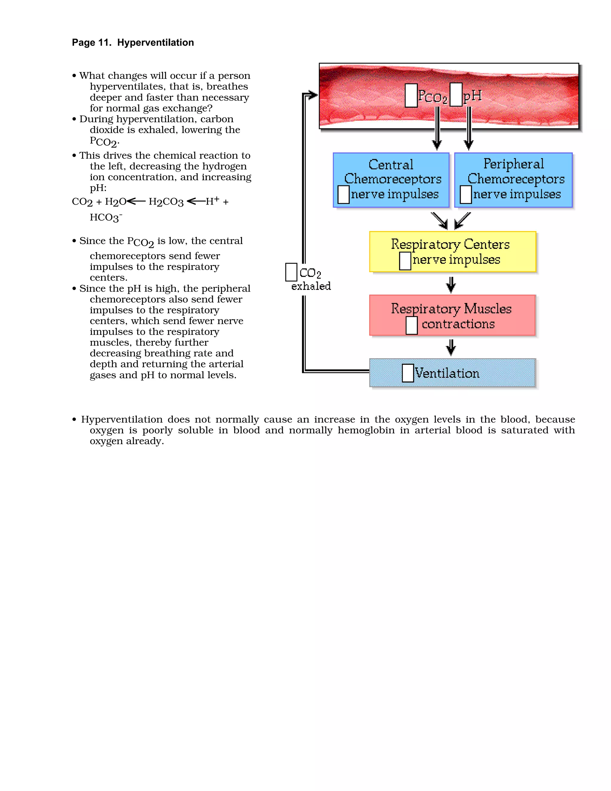 Control of respiration | PDF