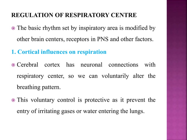Control of respiration | PPTX | Lung and Respiratory Health | Diseases ...