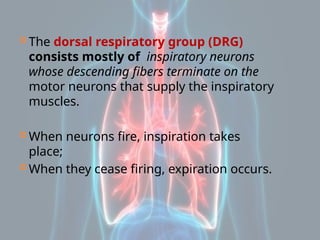 Control of respiration, Neural and Chemical.pptx