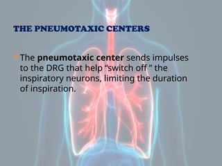 Control of respiration, Neural and Chemical.pptx