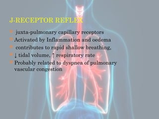 Control of respiration, Neural and Chemical.pptx
