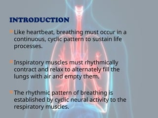 Control of respiration, Neural and Chemical.pptx