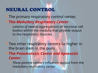 Control of respiration, Neural and Chemical.pptx
