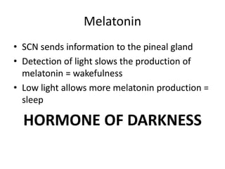 Control of circadian rhythms A2 AQA PSYA3 psychology biological rhythms ...