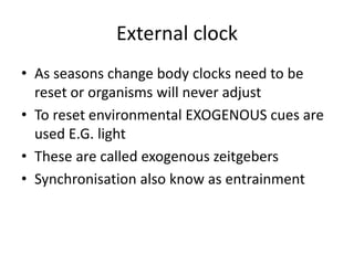 Control of circadian rhythms A2 AQA PSYA3 psychology biological rhythms ...