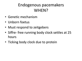 Control of circadian rhythms A2 AQA PSYA3 psychology biological rhythms ...