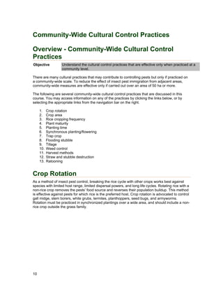 Control of rice insect pests | PDF