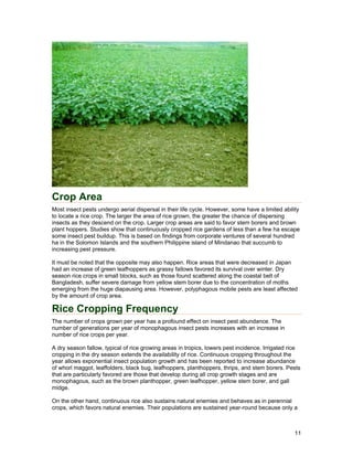 Control of rice insect pests | PDF