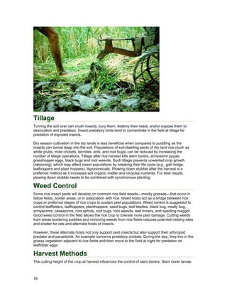 Control of rice insect pests | PDF