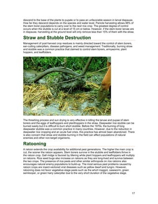 Control of rice insect pests | PDF