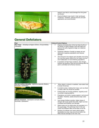 Control of rice insect pests | PDF | Agriculture | Industries