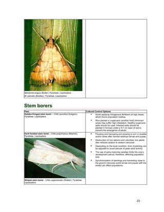 Control of rice insect pests | PDF