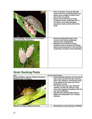 Control of rice insect pests | PDF