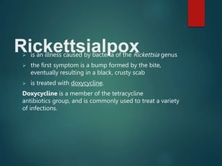 control of rodents and insects 2024.pptx