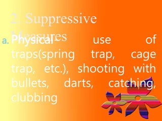 control of rodents and insects 2024.pptx