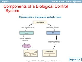 FISIOLOGI SENAM Control of the internal enviroment | PPT
