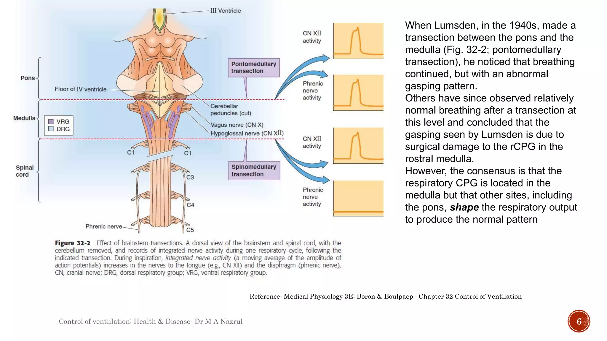 CONTROL OF VENTILATION- PART 1 | PPTX