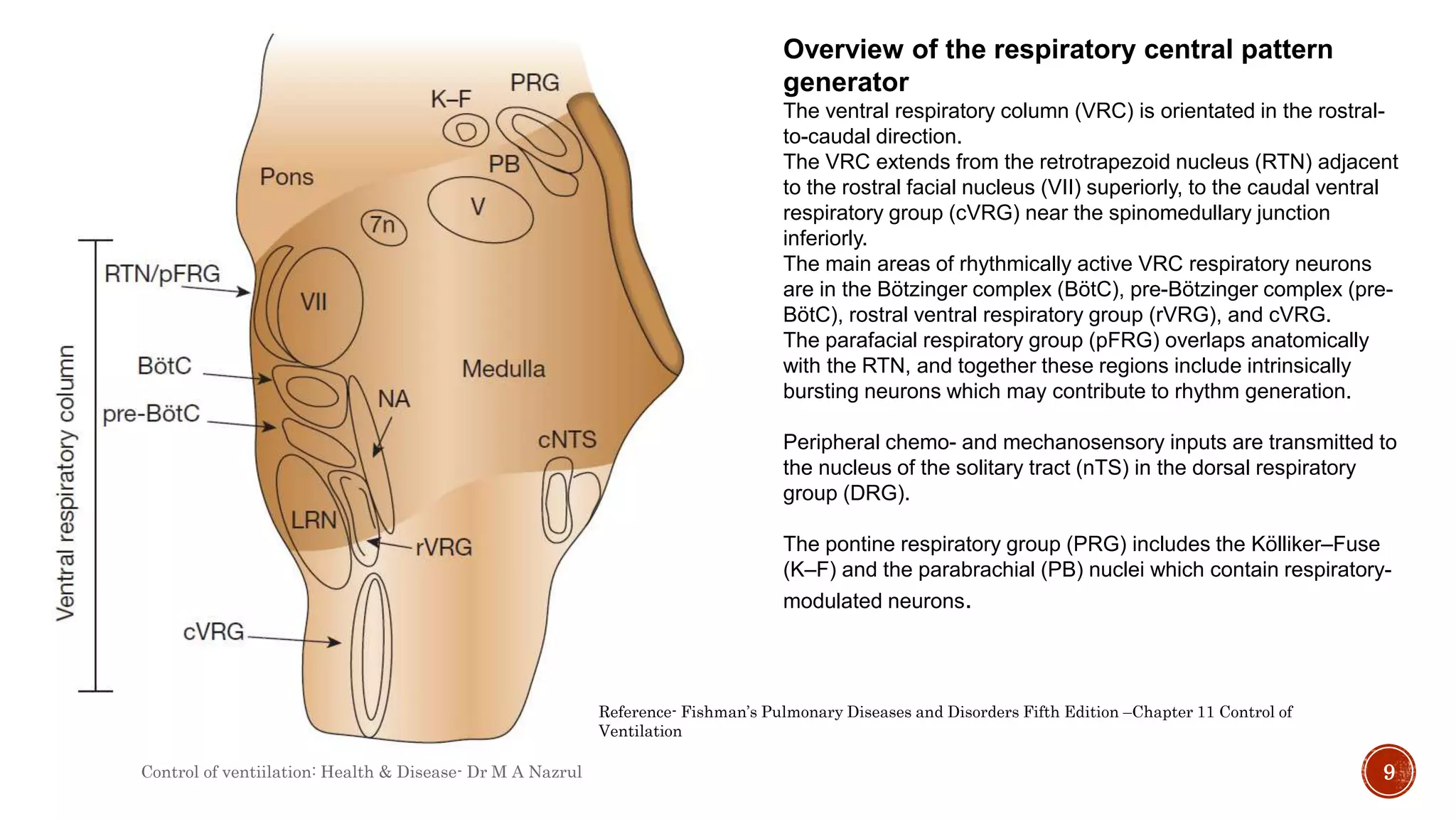 CONTROL OF VENTILATION- PART 1 | PPTX