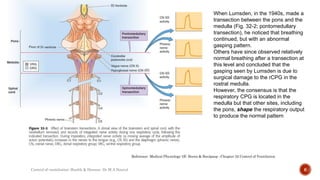 CONTROL OF VENTILATION- PART 1 | PPTX