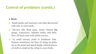 Control of Weeds, Pests and Predators (1).pptx