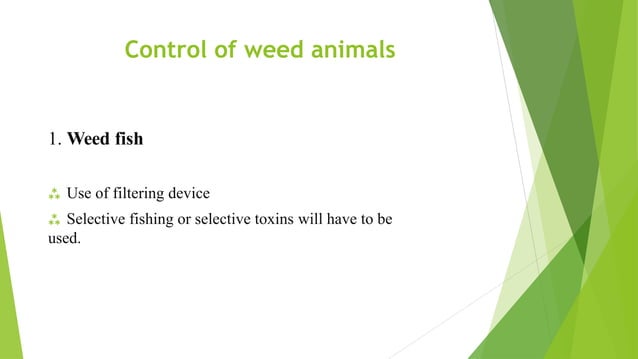 Control of Weeds, Pests and Predators (1).pptx