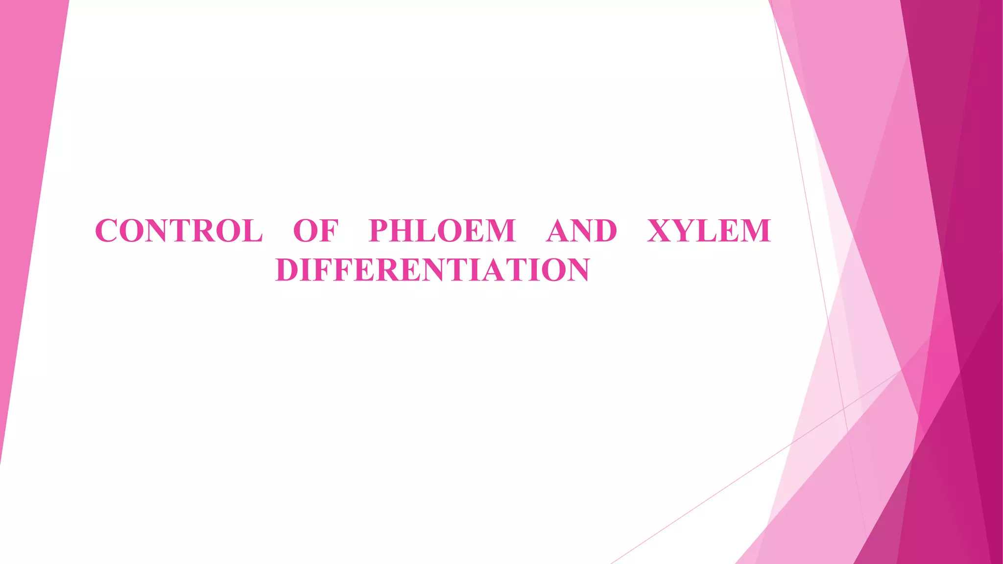 CONTROL OF XYLEM AND PHOLEM DIFFERENTIATION .pptx