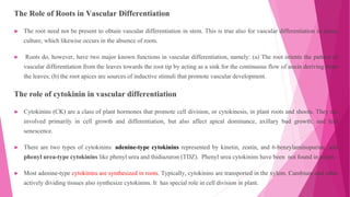 CONTROL OF XYLEM AND PHOLEM DIFFERENTIATION .pptx